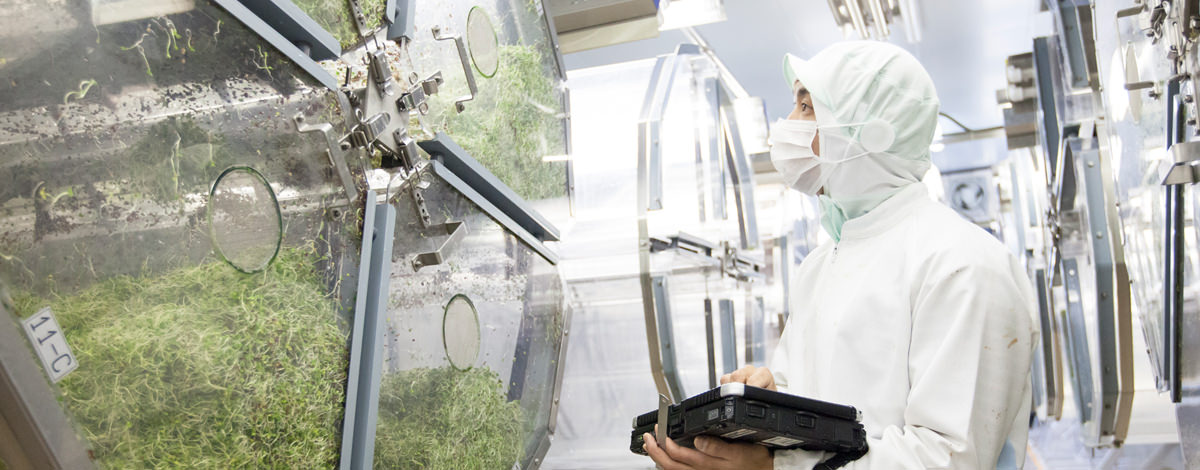 村上農園ホームページ